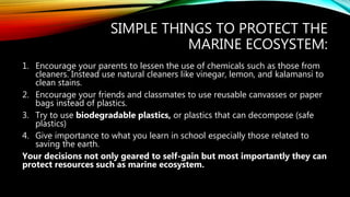 Protecting marine ecosystem | PPT