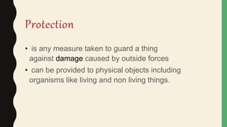 Protecting our Environment | PPTX