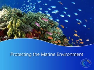 Protecting the marine environment | PPT