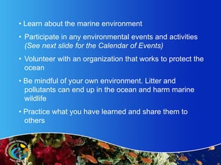 Protecting the marine environment | PPT
