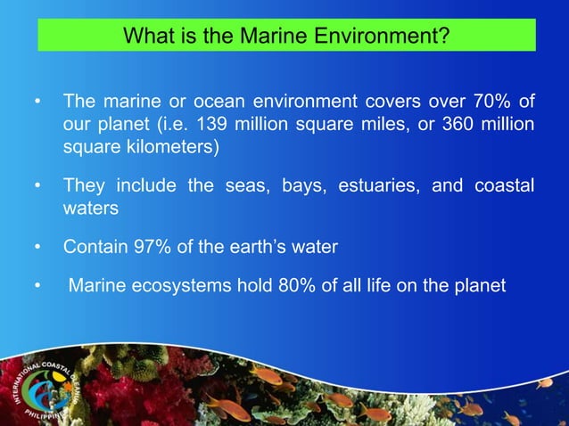 Protecting the marine environment | PPT