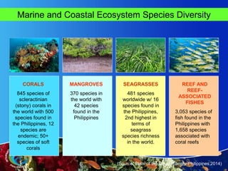 Protecting the marine environment | PPT