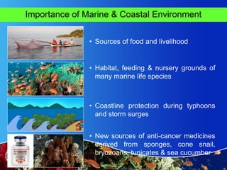 Protecting the marine environment | PPT