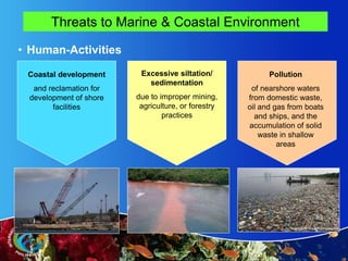 Protecting the marine environment | PPT