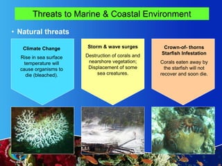 Protecting the marine environment | PPT