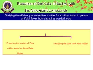 Protection of dark color in rubber with the antioxidant compounds | PPT