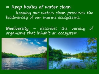 Protection and conservation of ecosystems | PPTX