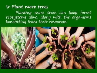 Protection and conservation of ecosystems | PPTX