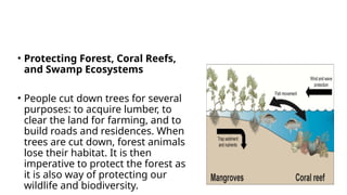 Protection and Conservation of Ecosystems.pptx