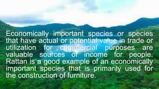 Protection and Conservation of Endangered and Economically Important.pptx
