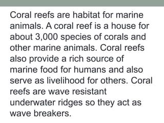 Protection and conservation of tropical rainforest, coral | PPTX