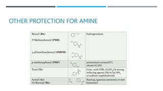 Protection for the AMINE.pptx