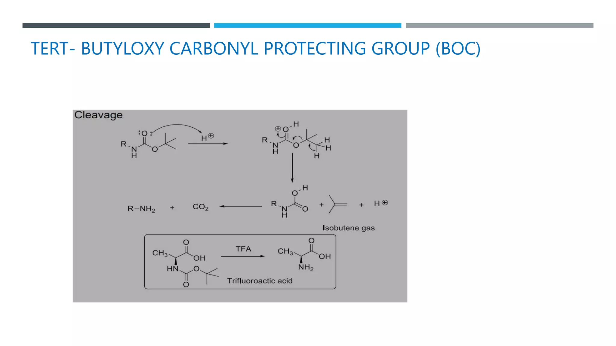 Protection for the carbonyl group ^0carboxyl group.pptx