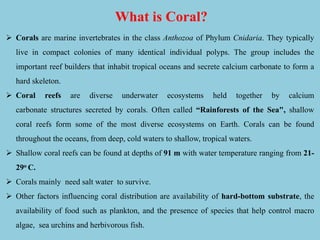 Protection of habitat of corals,mangrooves,seaweeds,sea grass beds | PPTX