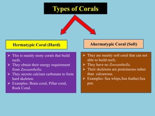 Protection of habitat of corals,mangrooves,seaweeds,sea grass beds | PPTX