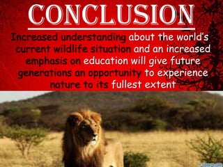 Wildlife Conservation | PPTX