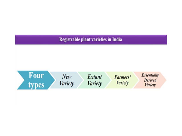 Protection of plant varieties and farmers right | PPTX | Agriculture ...