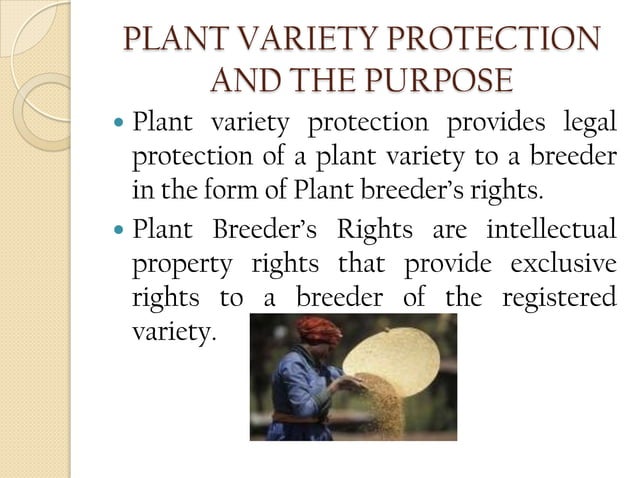 Protection of plant varieties and farmers' rights act | PPTX ...