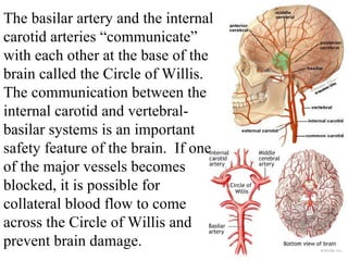 Protection of the cns | PPT