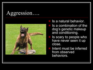 Protection Sports in Perspective | PPT