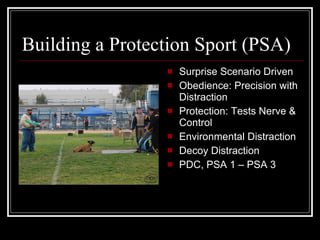 Protection Sports in Perspective | PPT