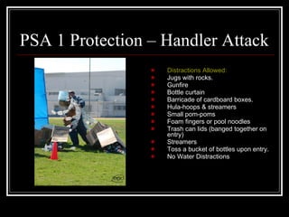 Protection Sports in Perspective | PPT