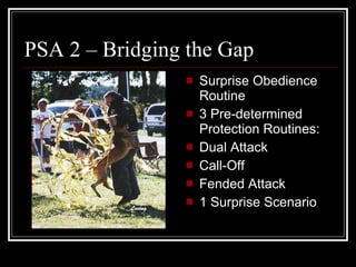 Protection Sports in Perspective | PPT