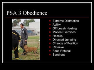 Protection Sports in Perspective | PPT