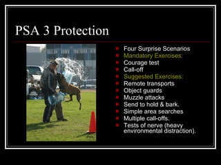 Protection Sports in Perspective | PPT