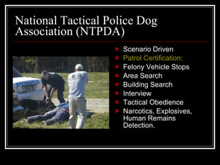 Protection Sports in Perspective | PPT