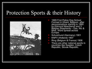 Protection Sports in Perspective | PPT