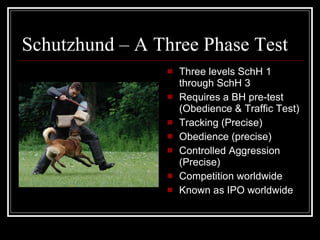 Protection Sports in Perspective | PPT