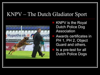 Protection Sports in Perspective | PPT