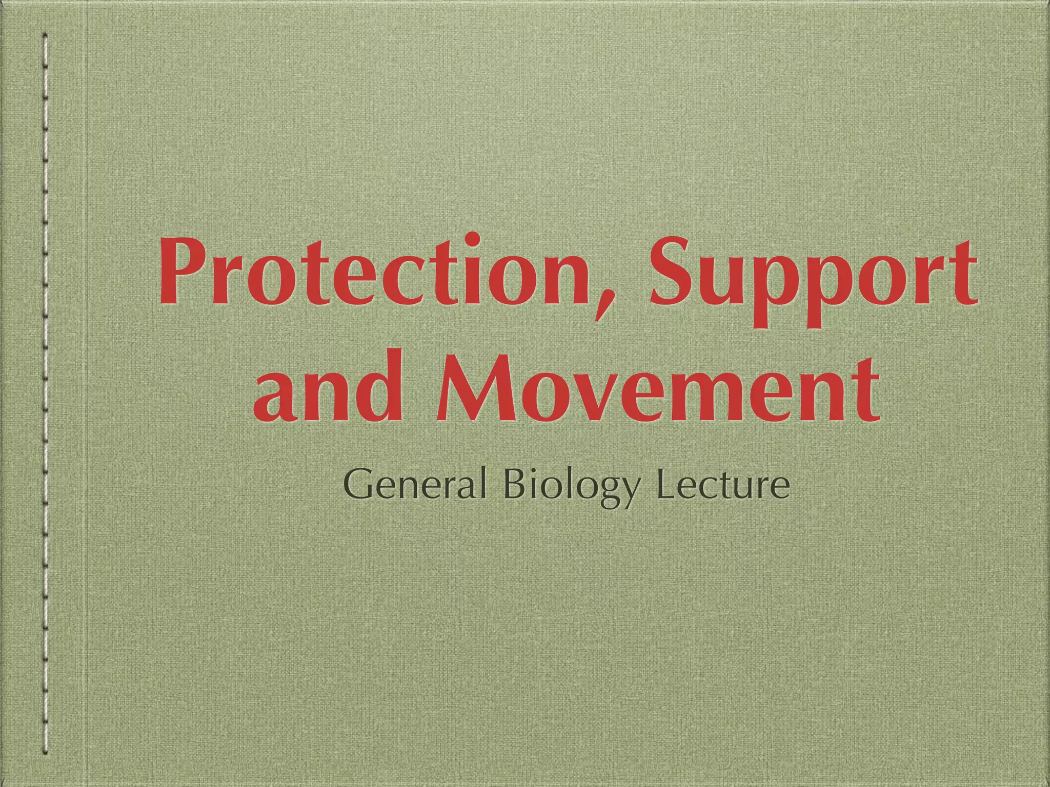 Protection, Support and Movement | PDF