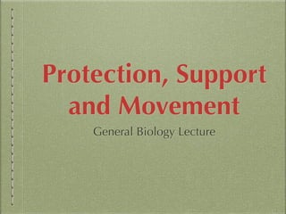 Protection, Support and Movement | PDF