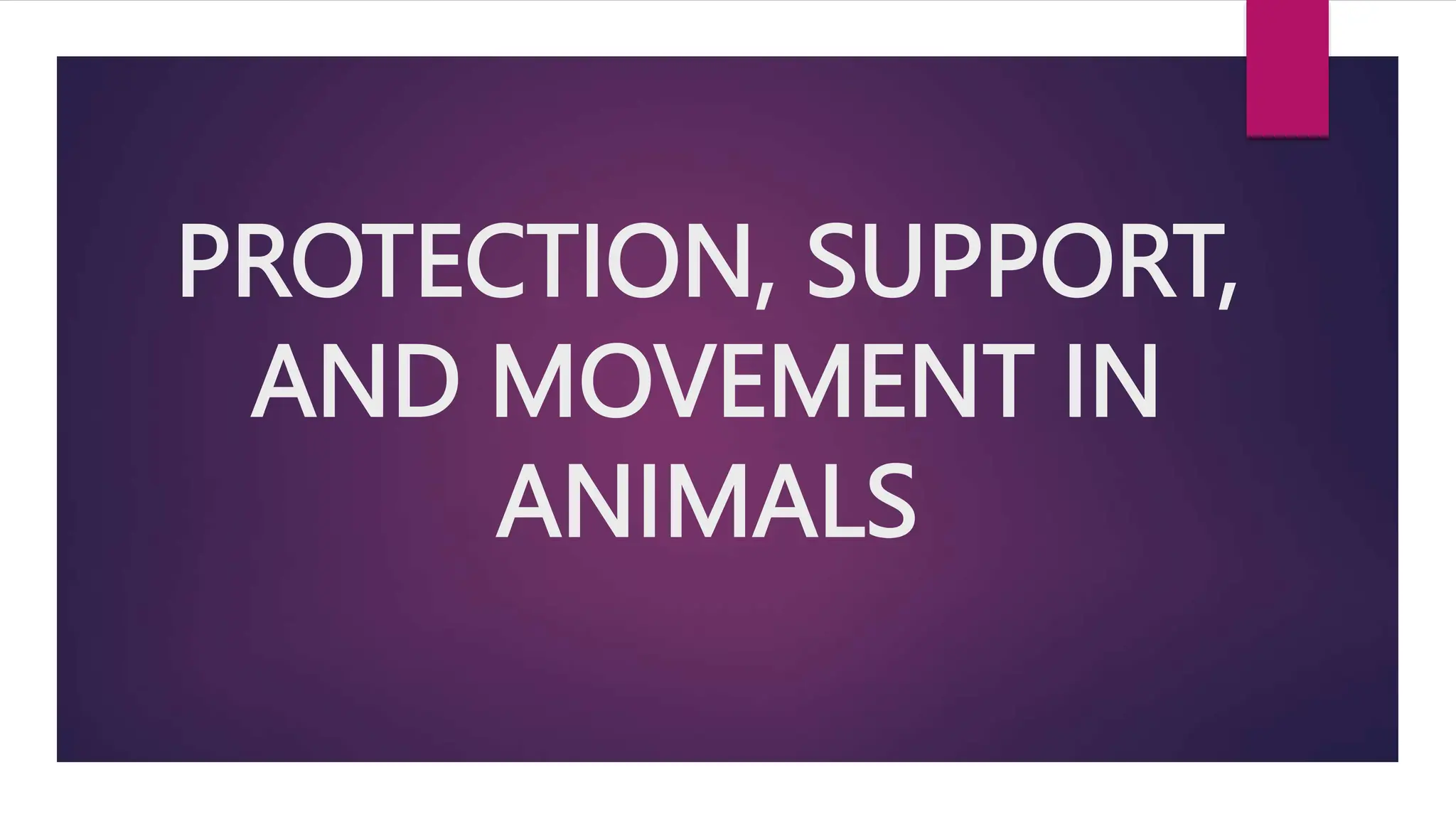 PROTECTION, SUPPORT, AND MOVEMENT IN ANIMALS.pptx