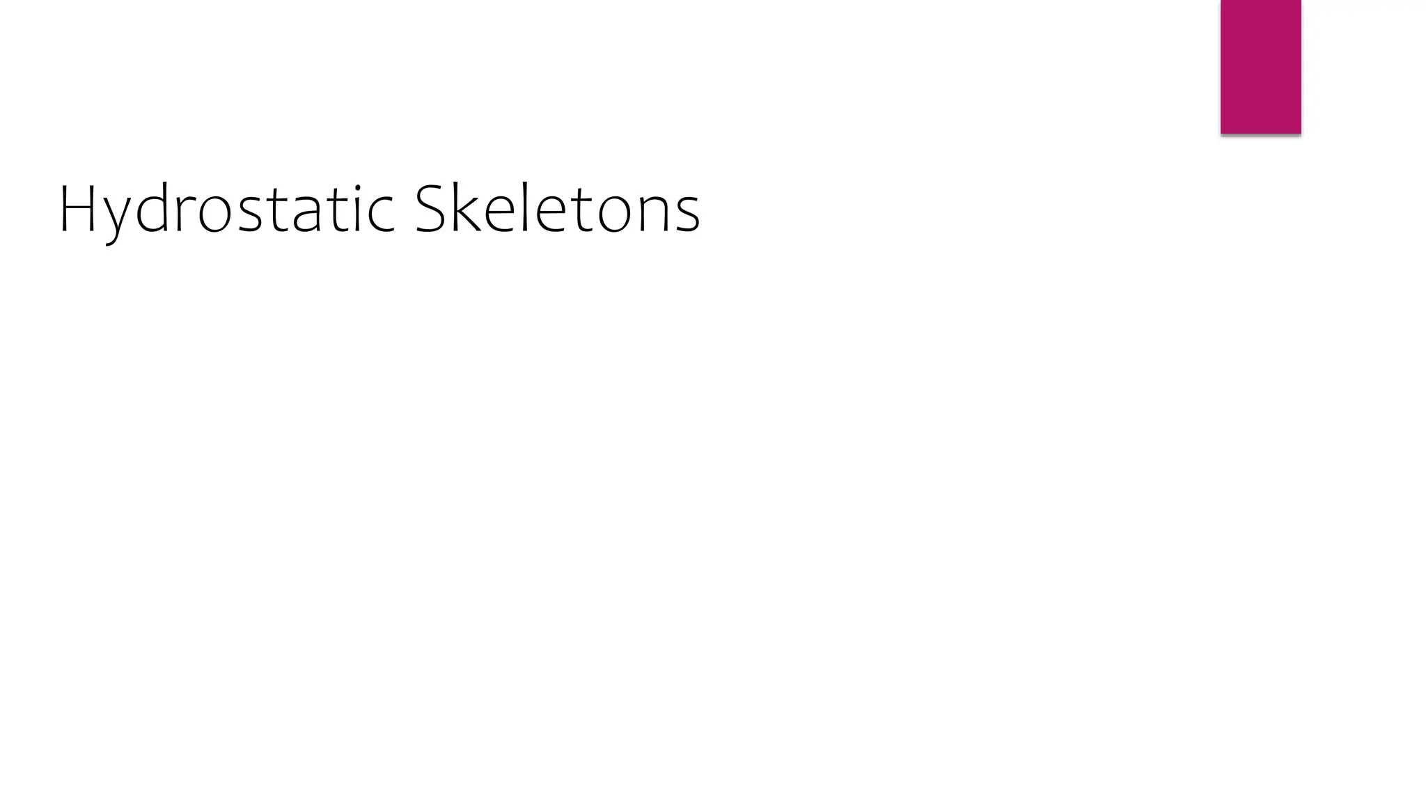 PROTECTION, SUPPORT, AND MOVEMENT IN ANIMALS.pptx