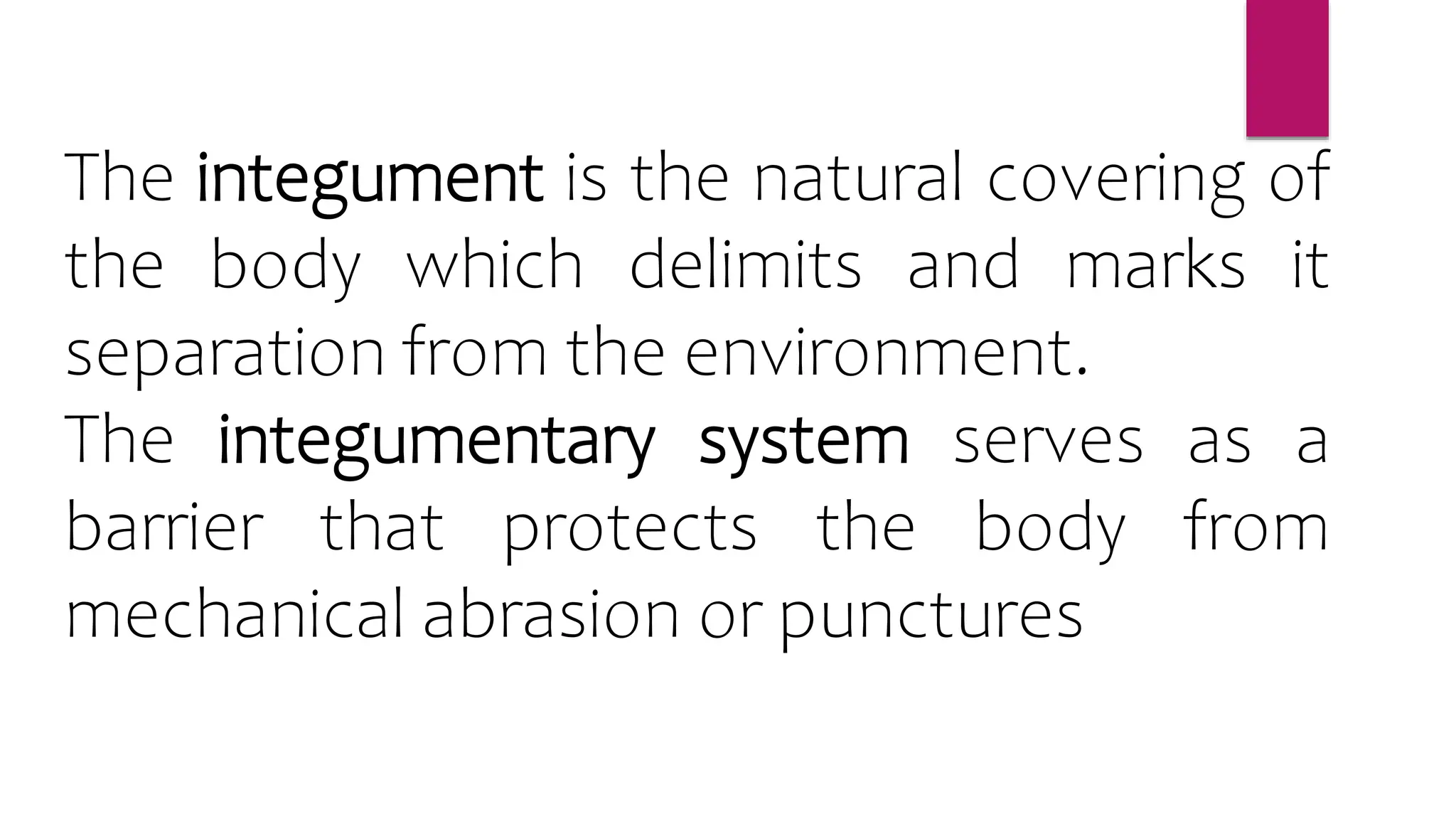 PROTECTION, SUPPORT, AND MOVEMENT IN ANIMALS.pptx