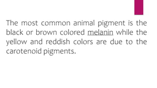 PROTECTION, SUPPORT, AND MOVEMENT IN ANIMALS.pptx