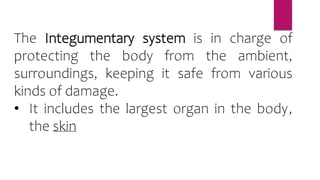PROTECTION, SUPPORT, AND MOVEMENT IN ANIMALS.pptx