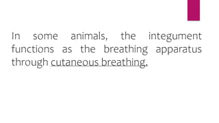 PROTECTION, SUPPORT, AND MOVEMENT IN ANIMALS.pptx