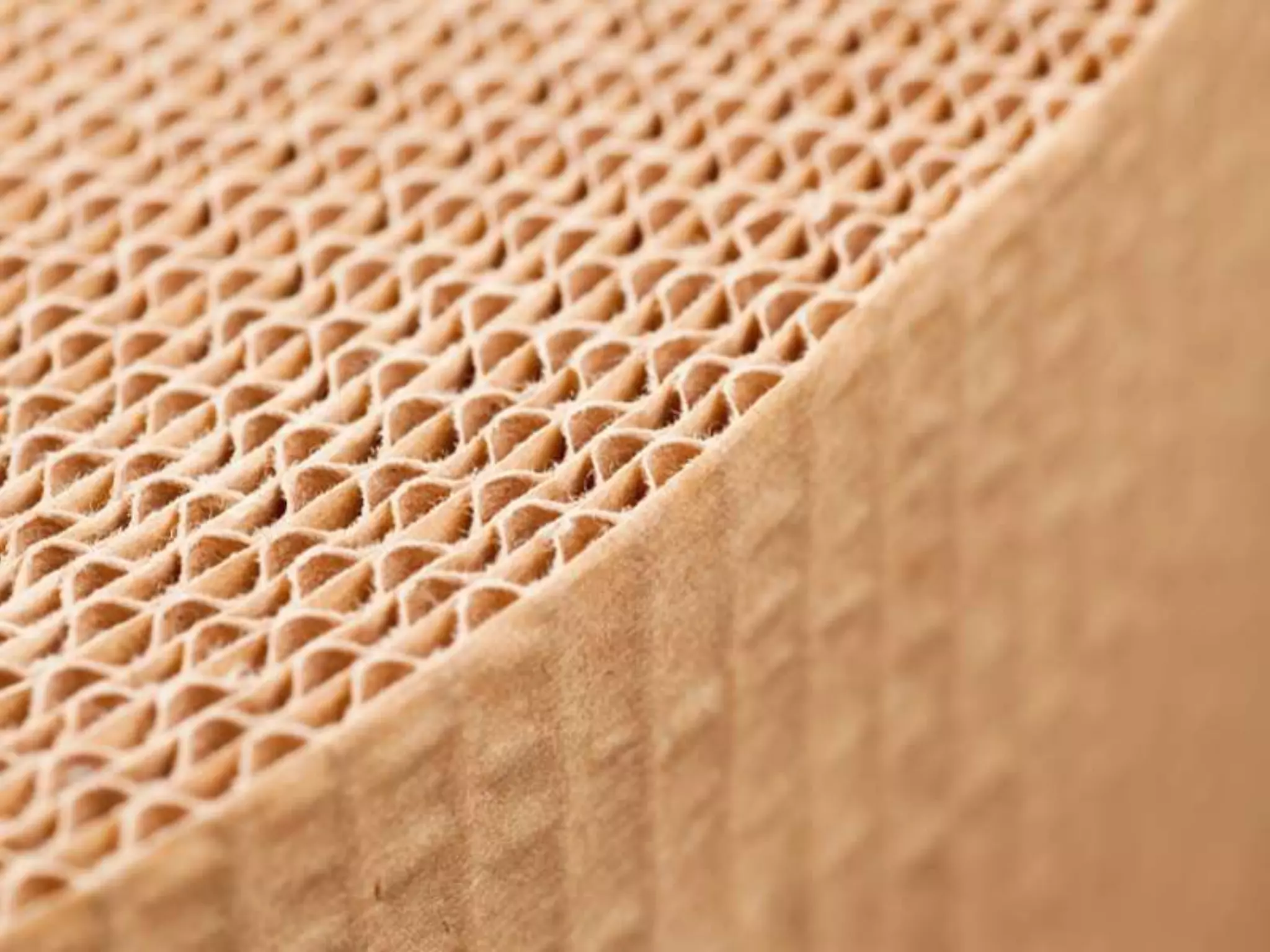 Protective Paper Packaging | PPT