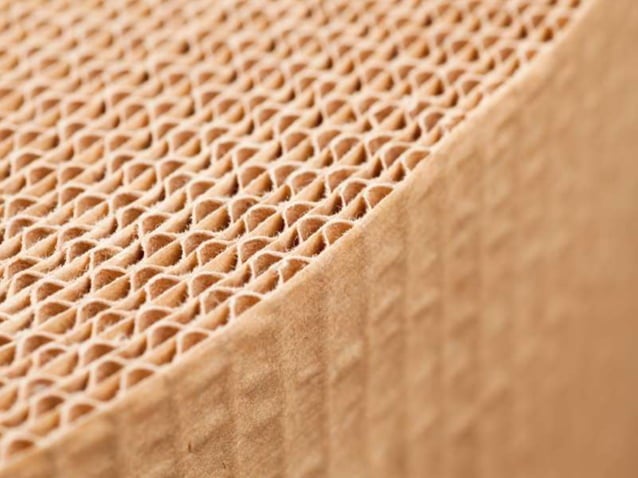 Protective Paper Packaging | PPT