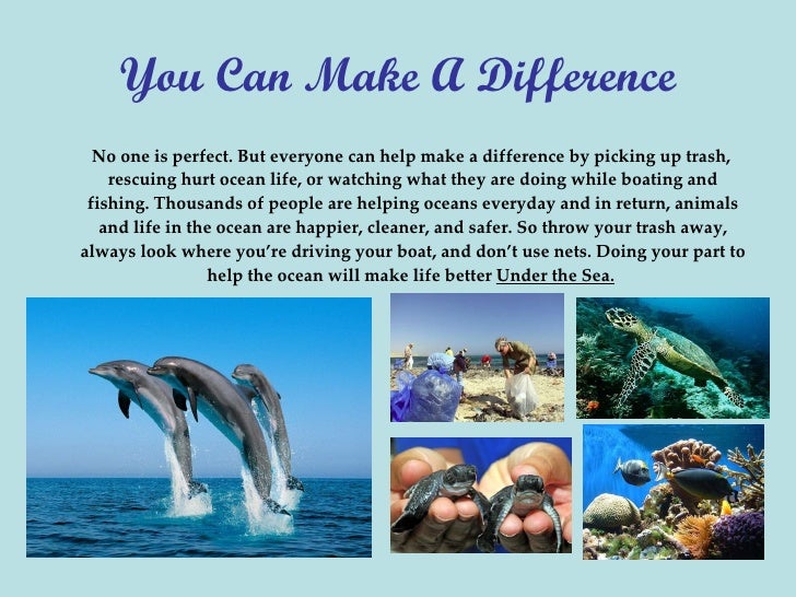 Awe-Inspiring Examples Of Tips About How To Protect The Marine Life ...