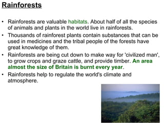 Protect The Earth! | PPT