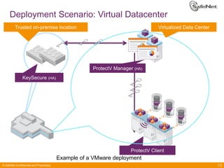 SafeNet ProtectV Data Protection for Virtual Infrastructure | PDF