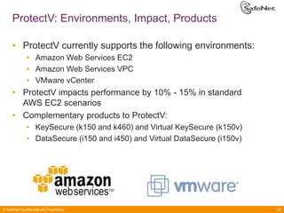 SafeNet ProtectV Data Protection for Virtual Infrastructure | PDF
