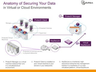 SafeNet ProtectV Data Protection for Virtual Infrastructure | PDF