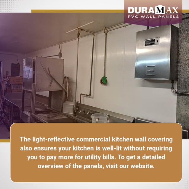 Protect Your Commercial Kitchen Walls from Oil Spillage, Smoke, and ...