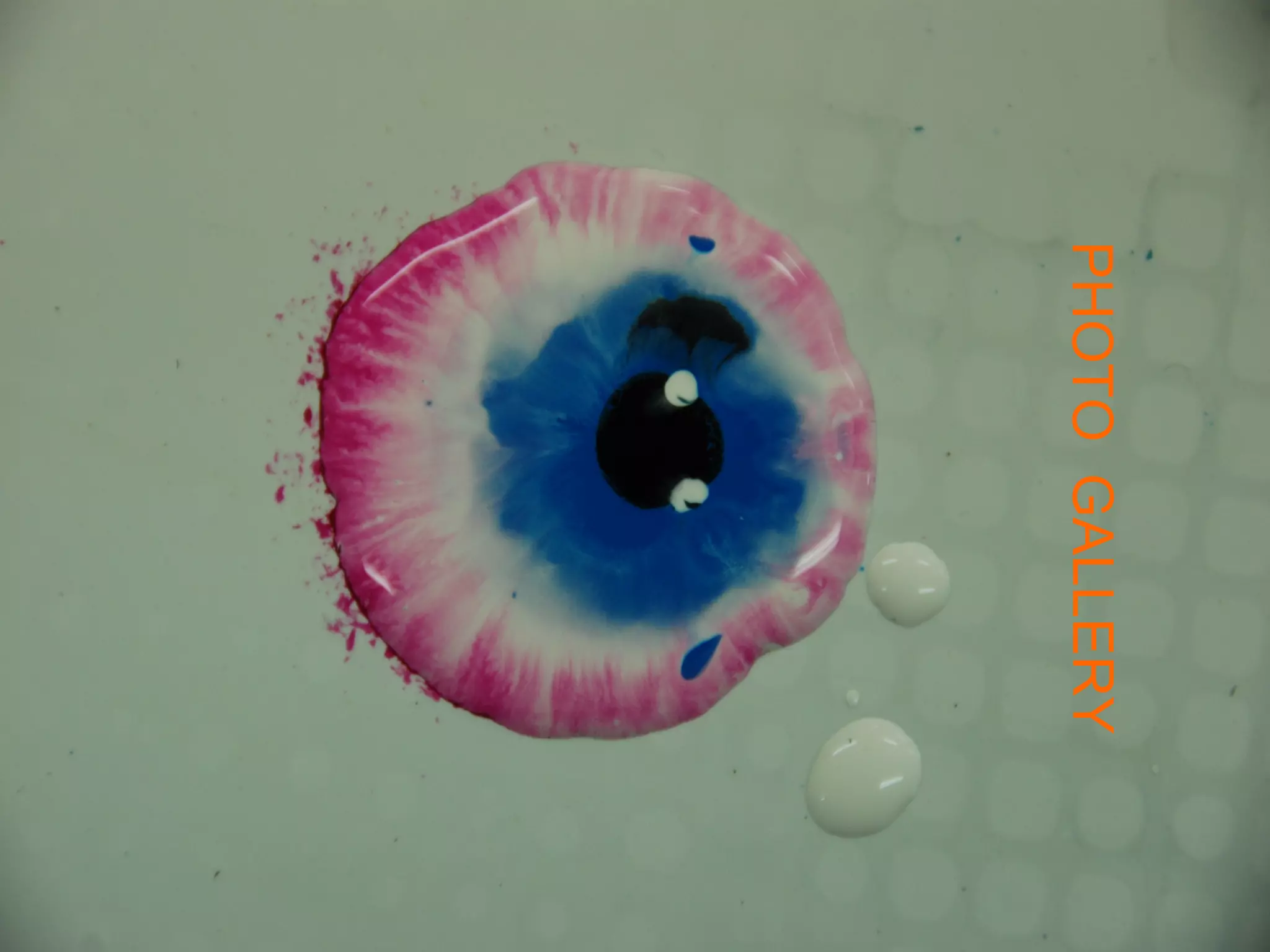 Protect your Egg | PPT